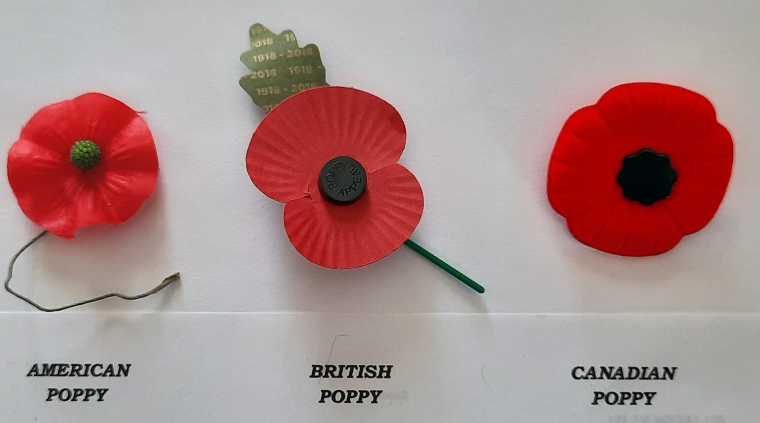 The Poppy History - Legion 594 - Oldcastle, (Tecumseh) ON